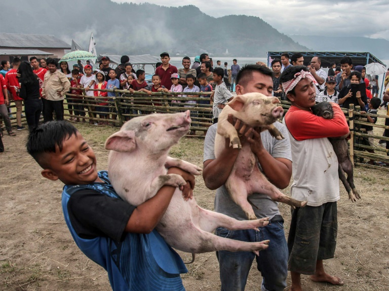 Indonesia s Halal Tourism Bid Faces Pig Pushback Egypt Independent