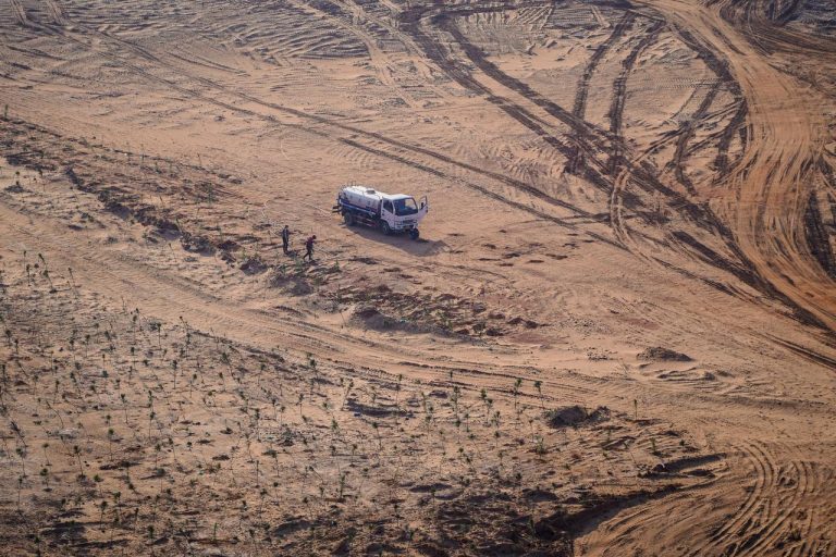 Plant a trillion trees: Republicans offer fossil-friendly climate fix ... Plant a trillion trees: Republicans offer fossil-friendly climate fix ...