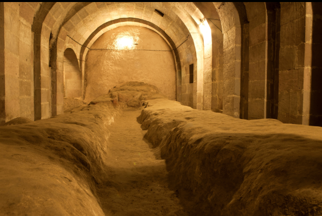 Elengubu 10 - Egypt Independent