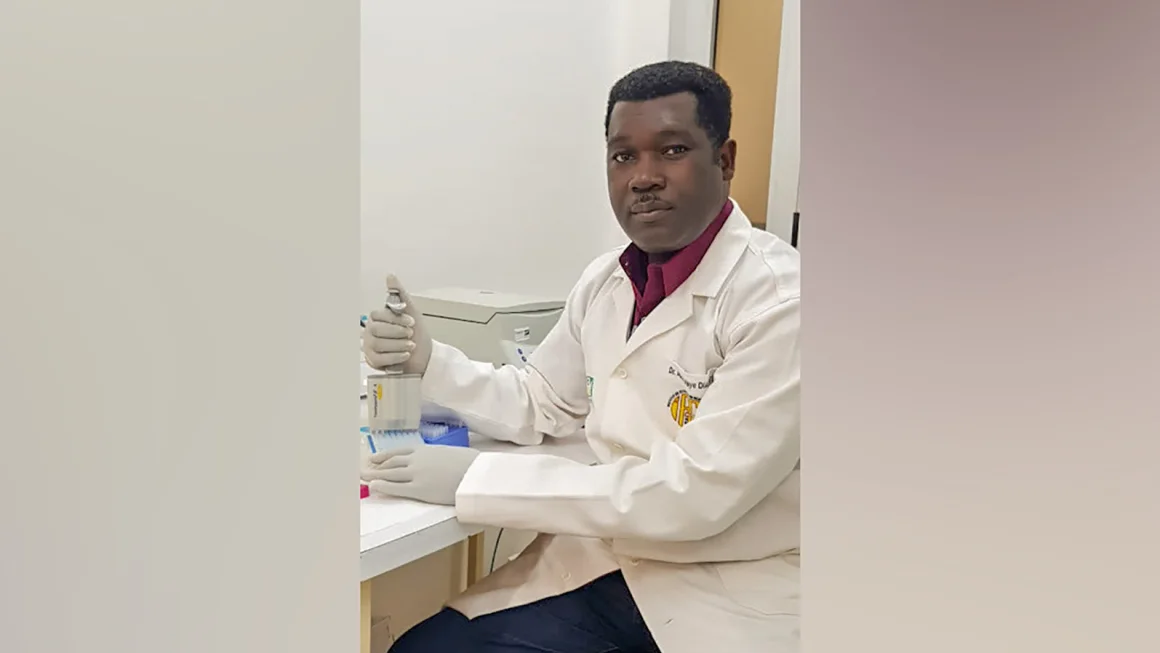 African scientist could wipe out malaria by editing mosquito DNA ...