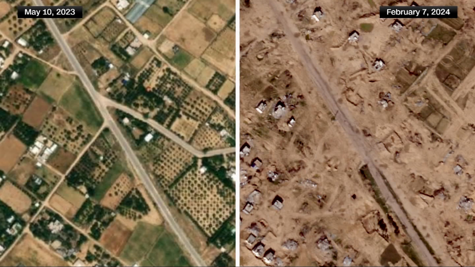 “Devastating” long-term destruction to agricultural land in Gaza ...